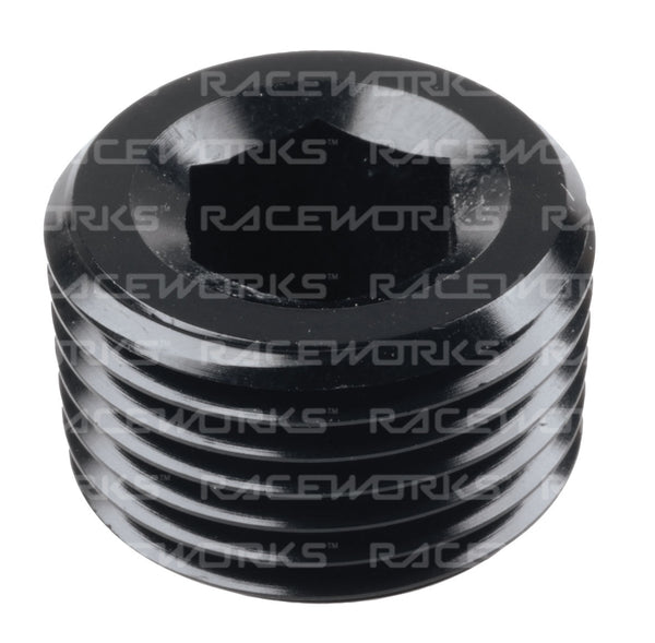 Raceworks NPT PLUG 3/8'' – Quickbitz